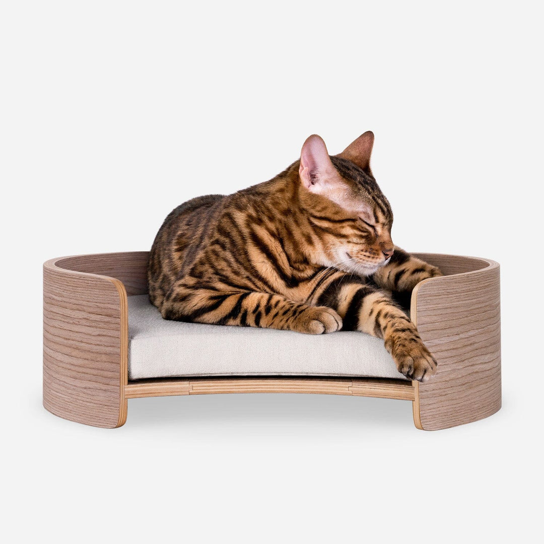 Cat Furniture – One Fast Cat