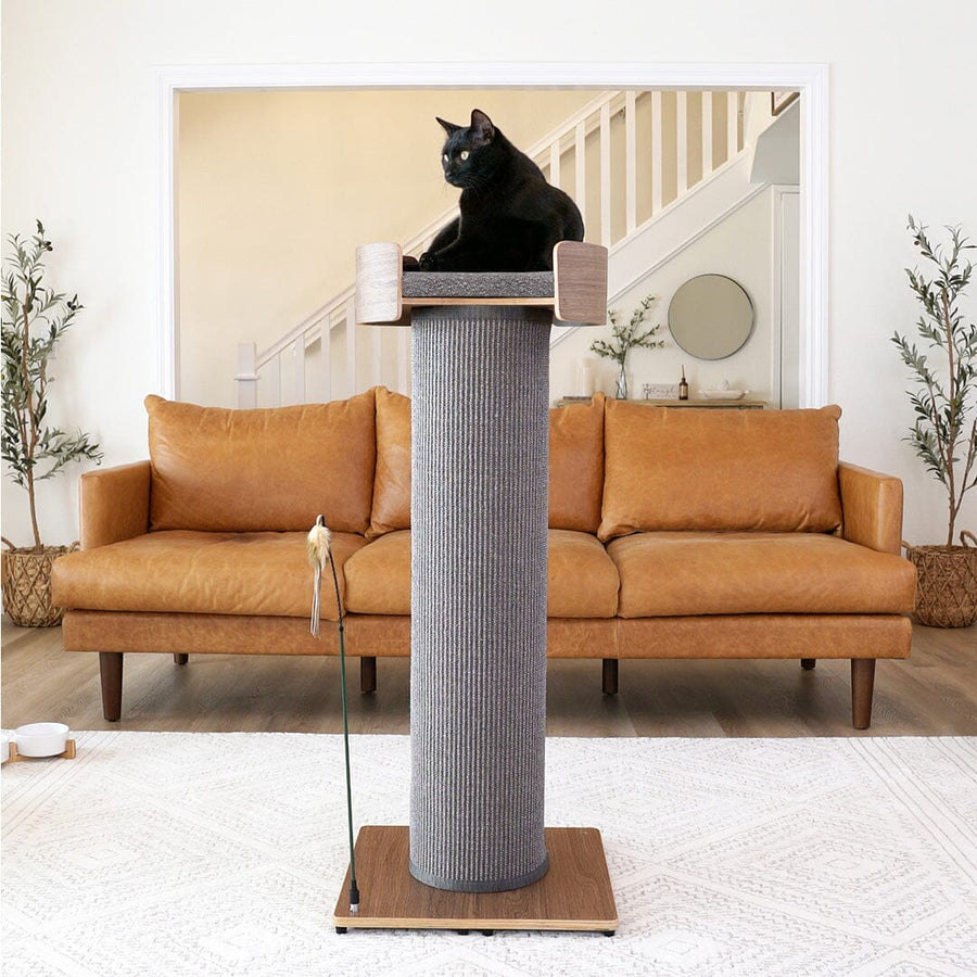 Cat Exercise Wheel · Interactive Cat Furniture · One Fast Cat