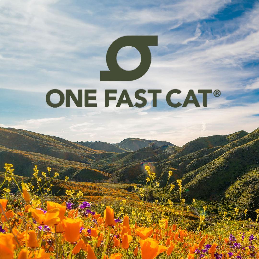 Giant Scratching Tower by One Fast Cat
