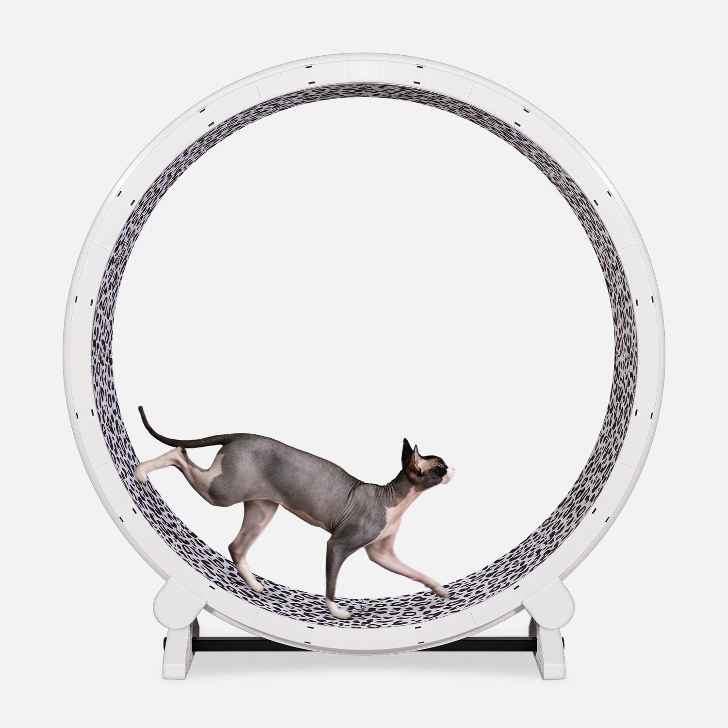 Cat Exercise Wheel by One Fast Cat | Made in California