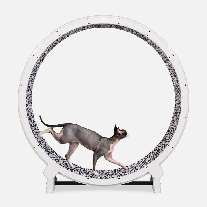 Cat Exercise Wheel by One Fast Cat | Made in California