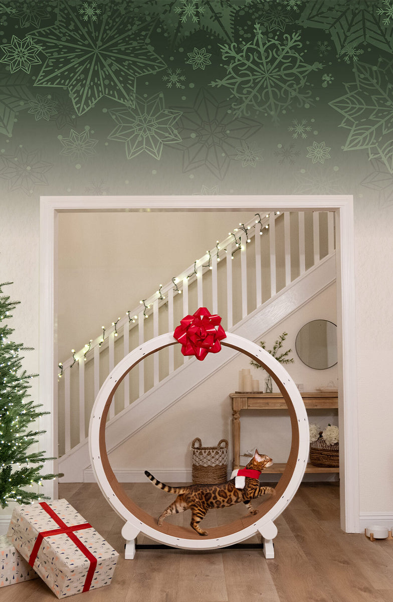 Cat Exercise Wheel · Interactive Cat Furniture · One Fast Cat