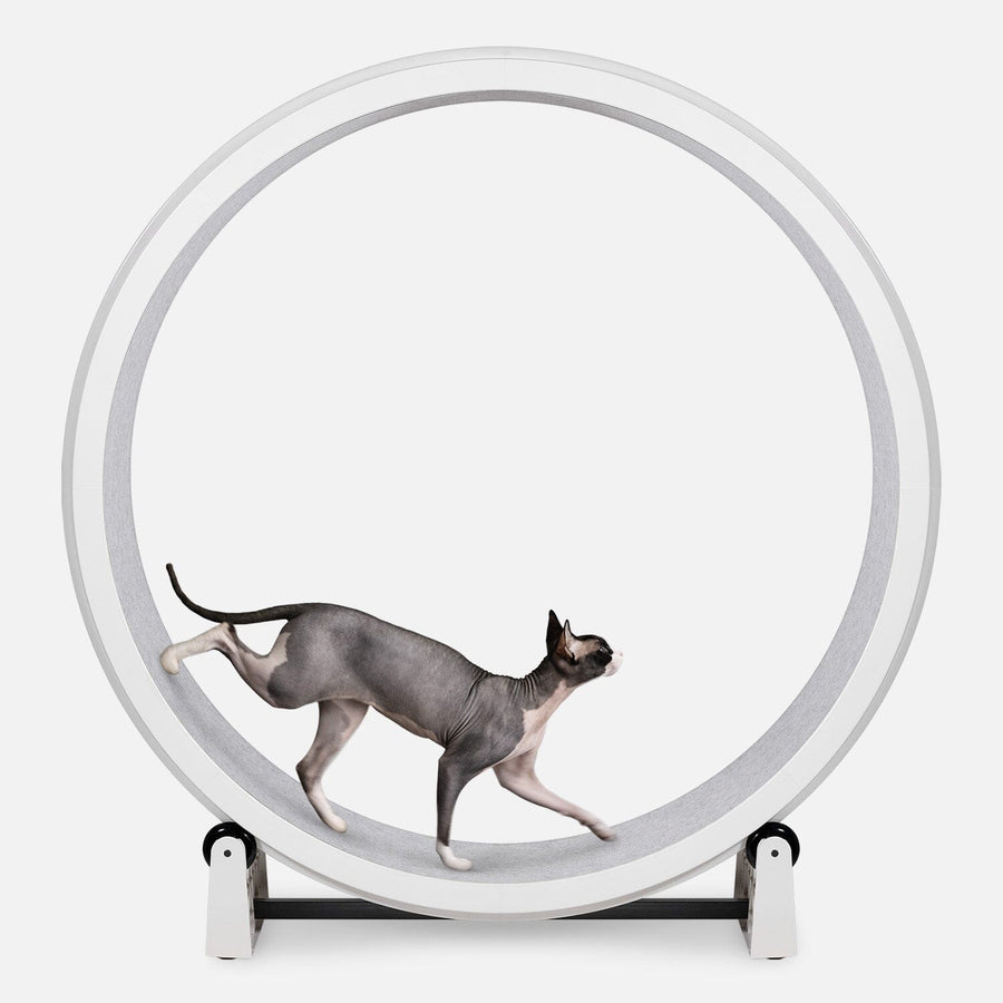 Cat Exercise Wheel by One Fast Cat | Made in California