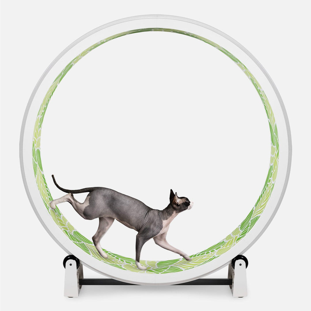 Cat Exercise Wheel by One Fast Cat | Made in California