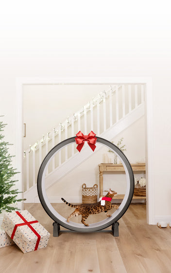 Cat Exercise Wheel · Giant Scratching Tower · One Fast Cat