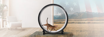 Cat Exercise Wheel · Interactive Cat Furniture · One Fast Cat
